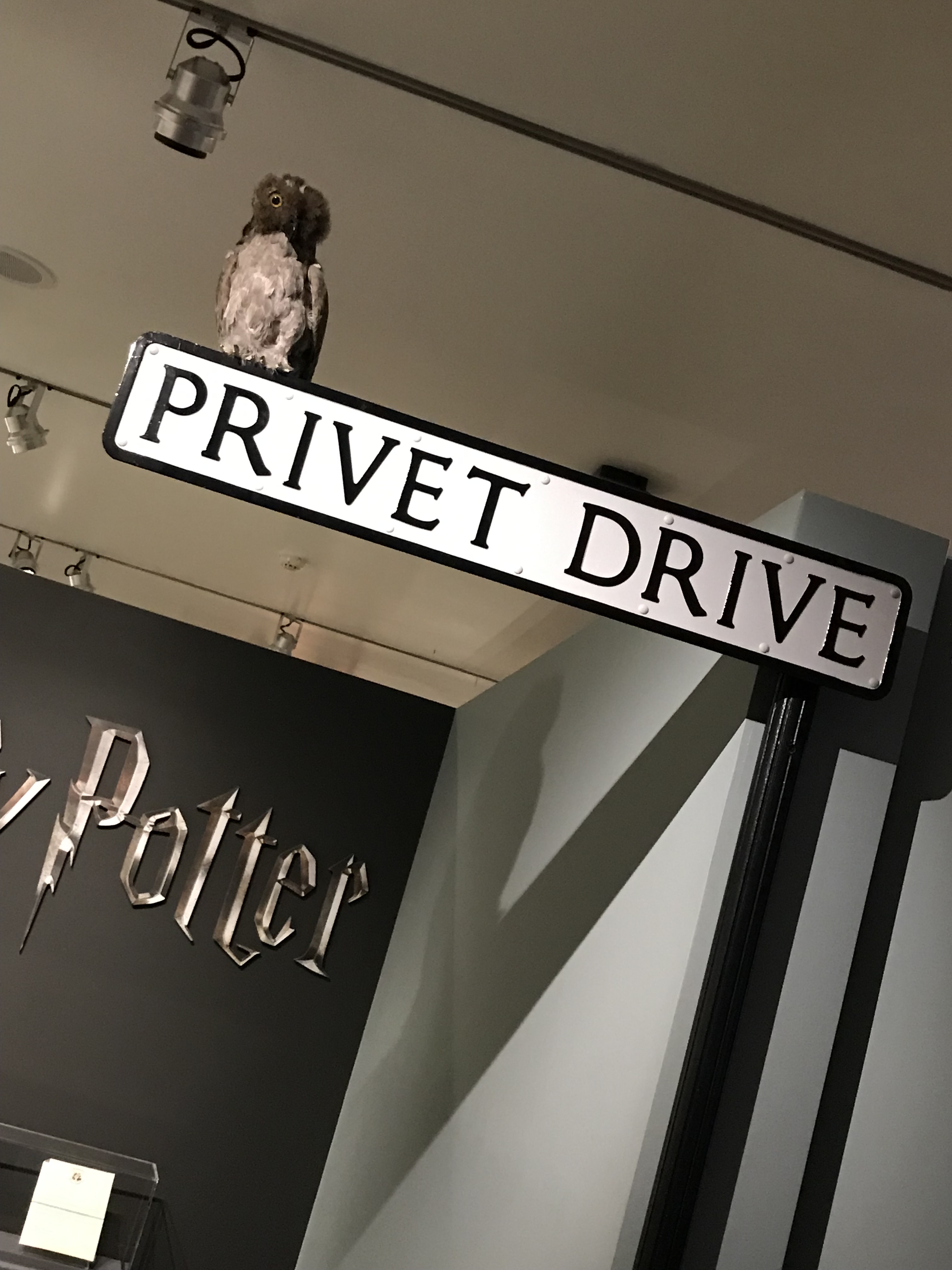 The Ultimate Harry Potter bucket list (part one) – Tall Blonde Tales